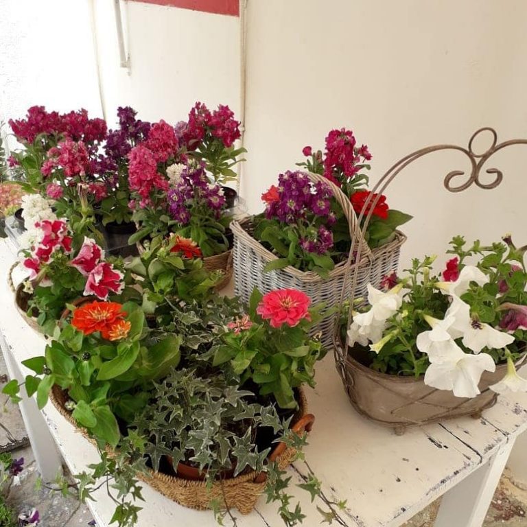 Ανθοπωλείο Ύδρα | Seaside Rose Flower Shop