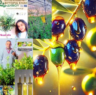 fitorio_elias_monobrisi_serron_dimou_2_ilektronikoskatalogos_gr | Νο1 ...
