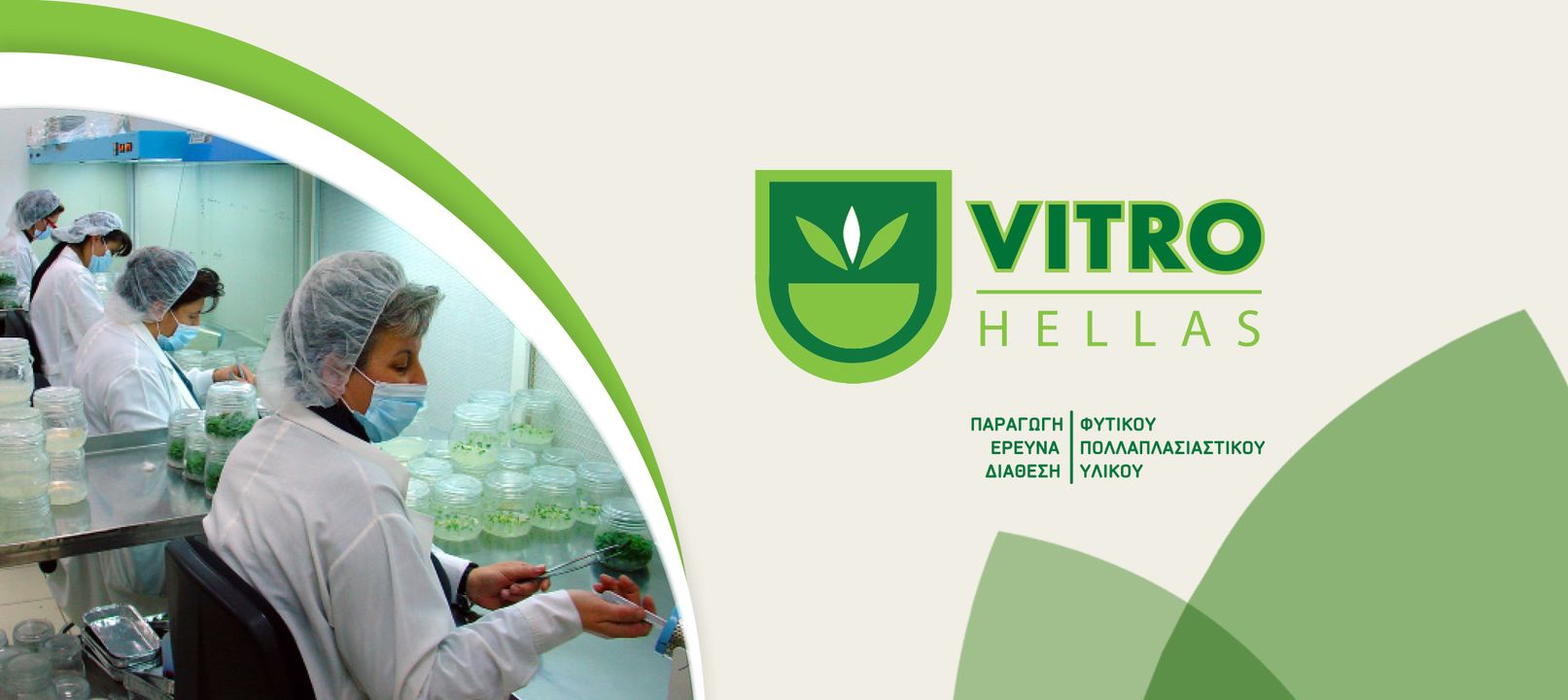 Φυτώριο Νησέλλι Ημαθίας | Οπωροφόρα δένδρα | Vitro Hellas