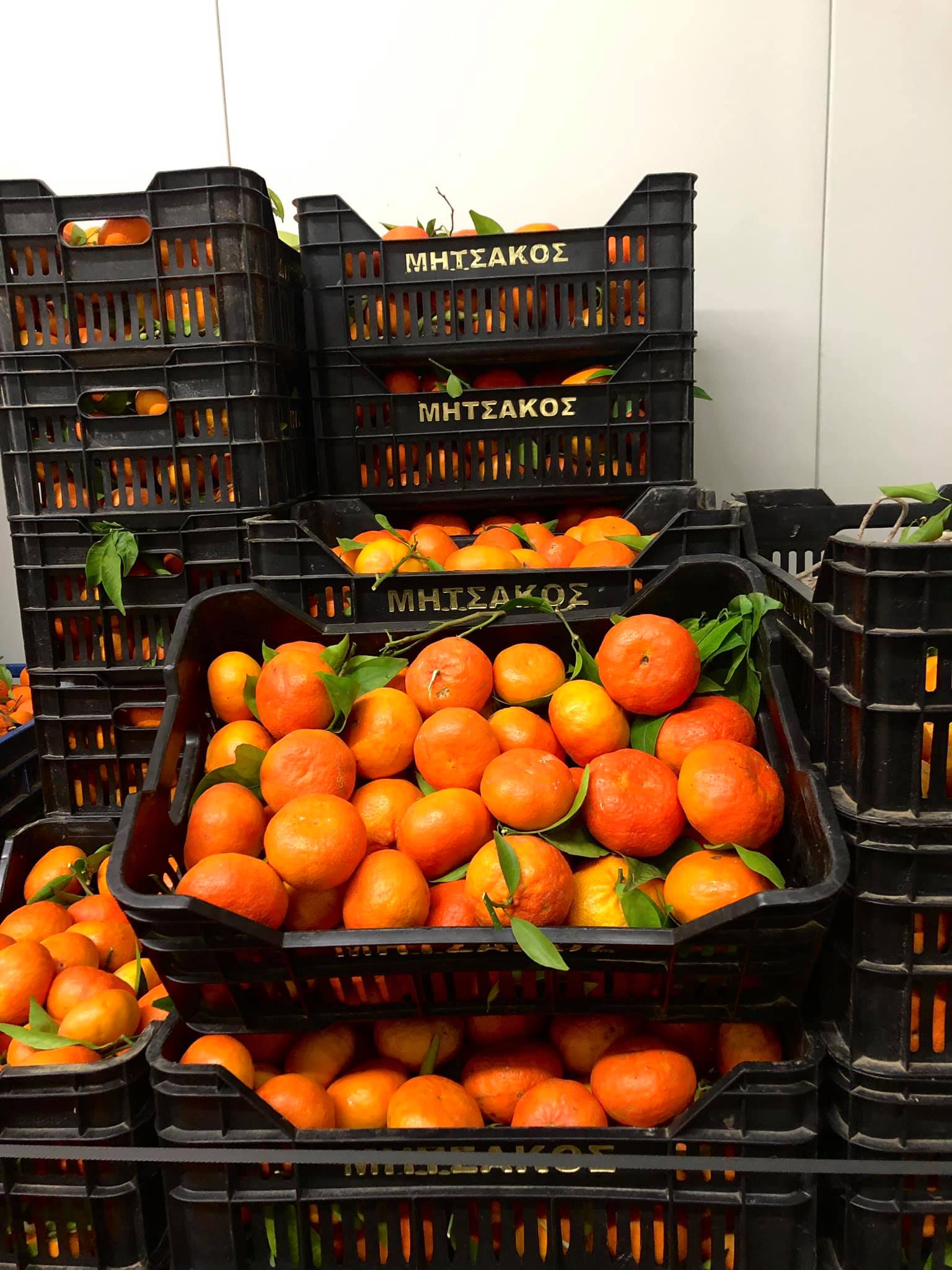 Οπωροκηπευτικά Ναύπλιο Άγιος Ανδριανός | Mitsakos fruit