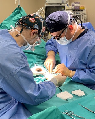 orthopedikos_akadimia_platonos_pantos_4_ilektronikoskatalogos_gr | Νο1 ...